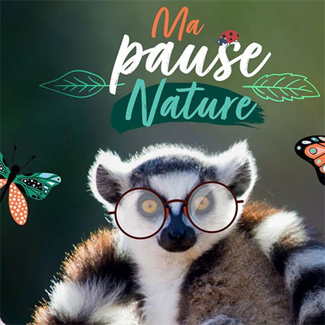 Gestion de la relation citoyen de ... - Accueil